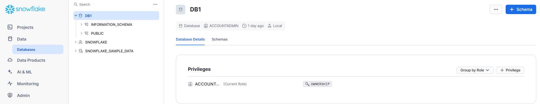 【SQL】【Snowflake】スキーマを新規作成する方法【CREATE SCHEMA】 | ビジネスイッチ